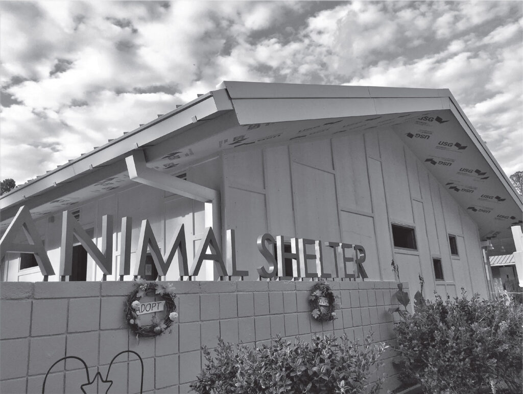 PAWS Building at ACASAnimal Shelter’s New Building – Friends of the ...