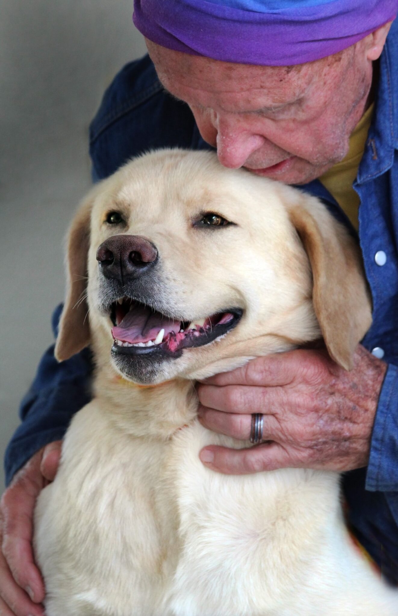 Why Do I Walk Dogs at the Shelter? – Friends of the Animal Shelter ...